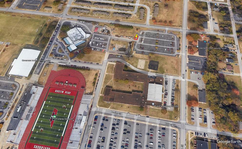 APSU’s Native Plant Sale returns for fourth annual event